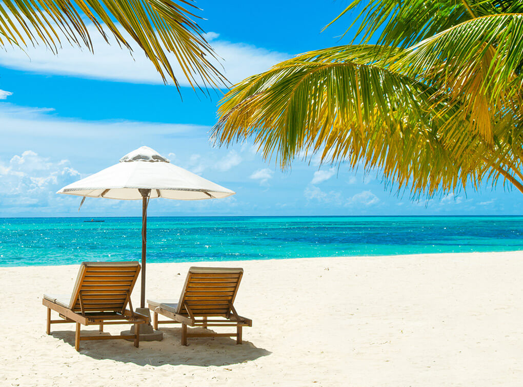 Live Here - Aruga